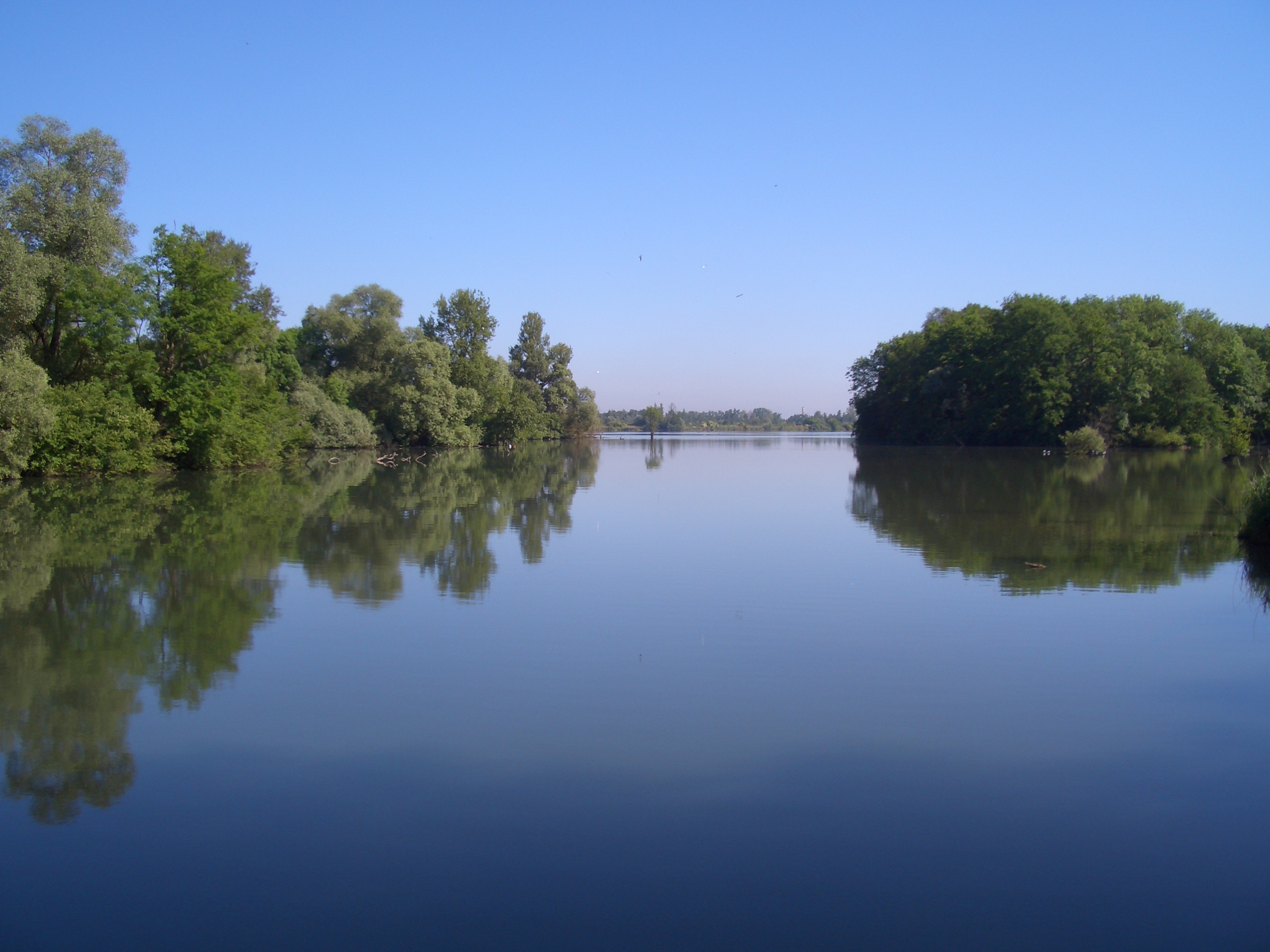 Bootsfahrten im Naturschutzgebiet Taubergiessen | Mit dem Stocherkahn ...