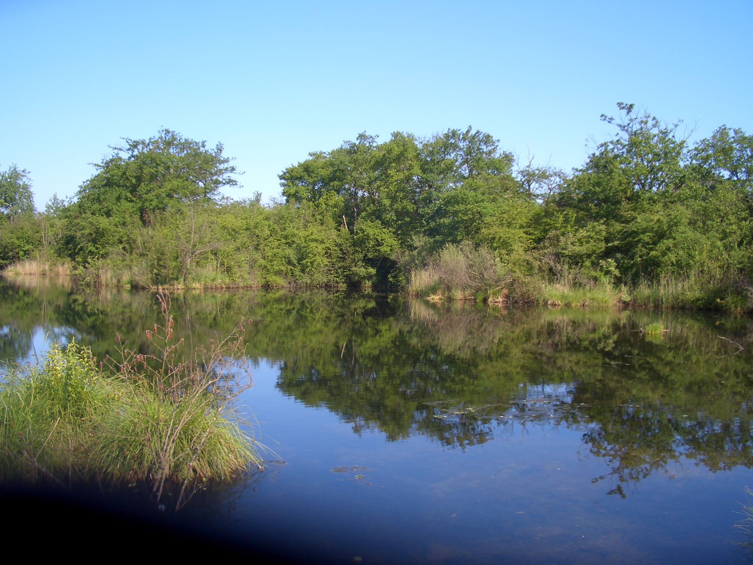 Bootsfahrten im Naturschutzgebiet Taubergiessen | Mit dem Stocherkahn ...