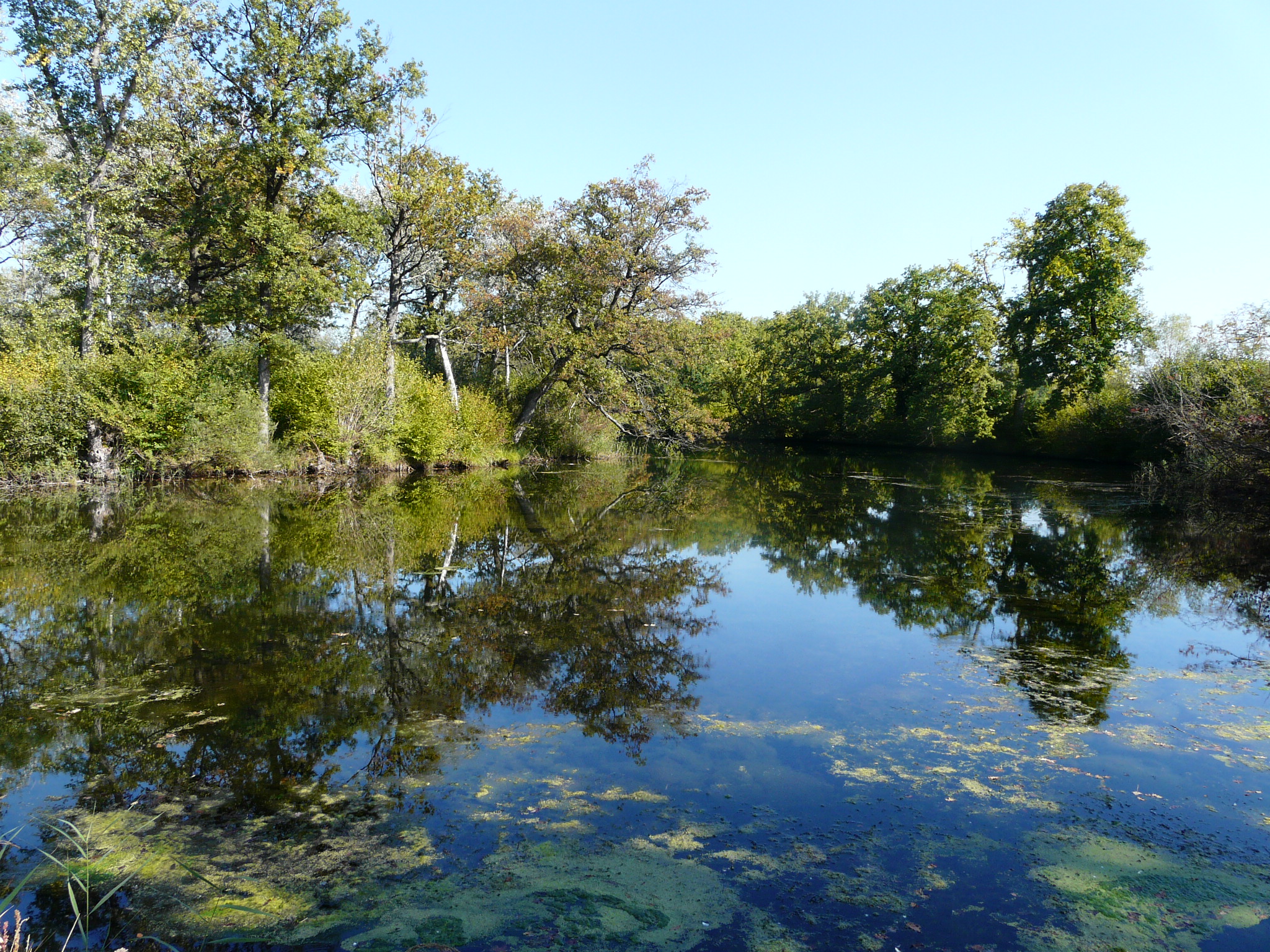 Bootsfahrten im Naturschutzgebiet Taubergiessen | Mit dem Stocherkahn ...