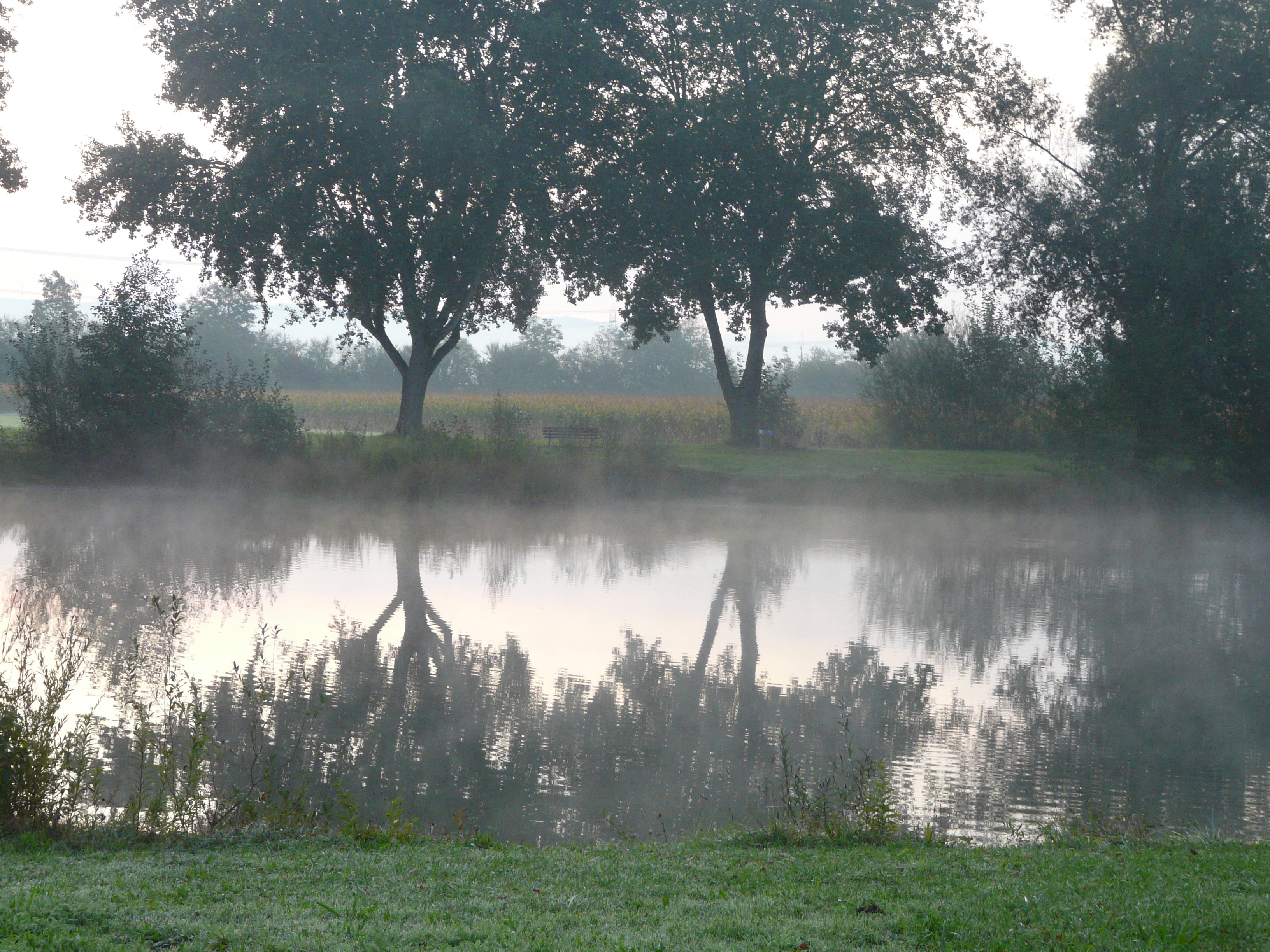 Bootsfahrten im Naturschutzgebiet Taubergiessen | Mit dem Stocherkahn ...