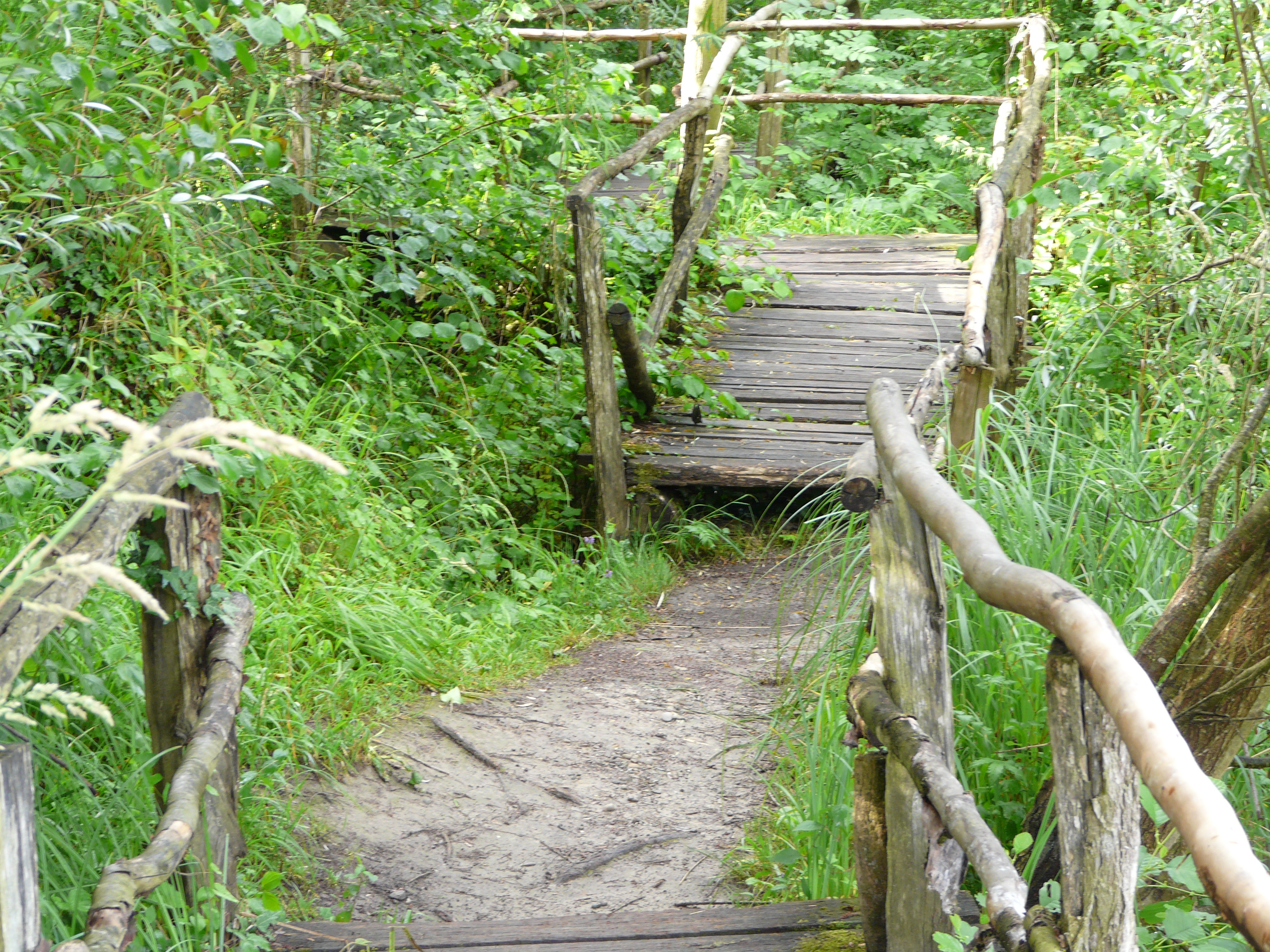 Bootsfahrten im Naturschutzgebiet Taubergiessen | Mit dem Stocherkahn ...