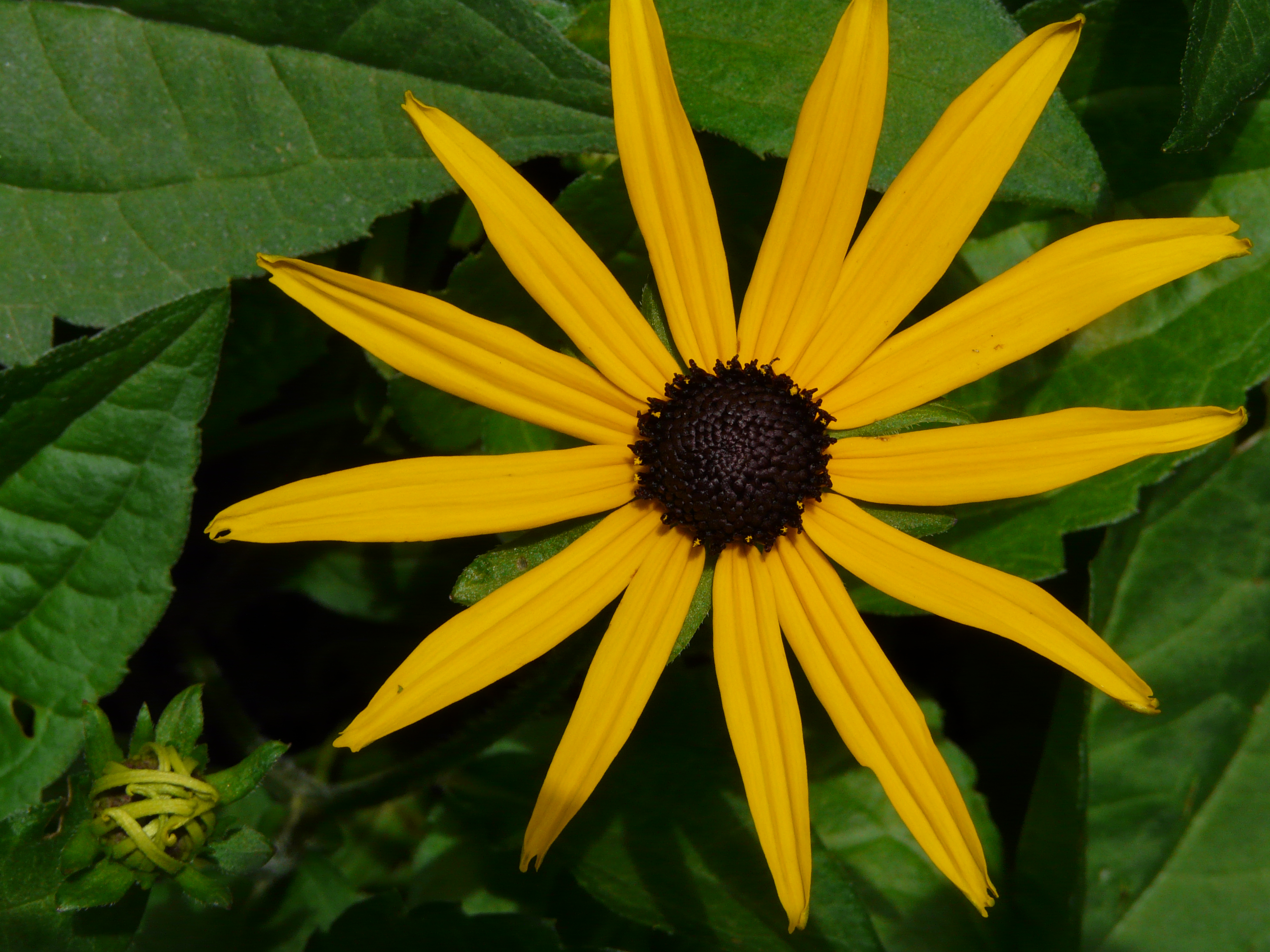 Bootsfahrten im Naturschutzgebiet Taubergiessen | Mit dem Stocherkahn ...