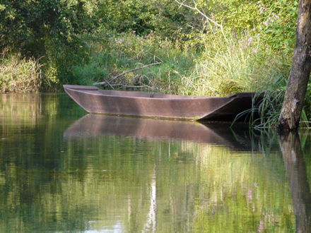 Bootsfahrten im Naturschutzgebiet Taubergiessen | Mit dem Stocherkahn ...