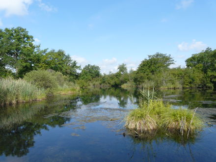 Bootsfahrten im Naturschutzgebiet Taubergiessen | Mit dem Stocherkahn ...